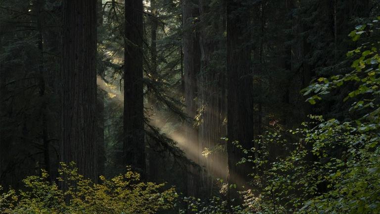 Planet California | PBS