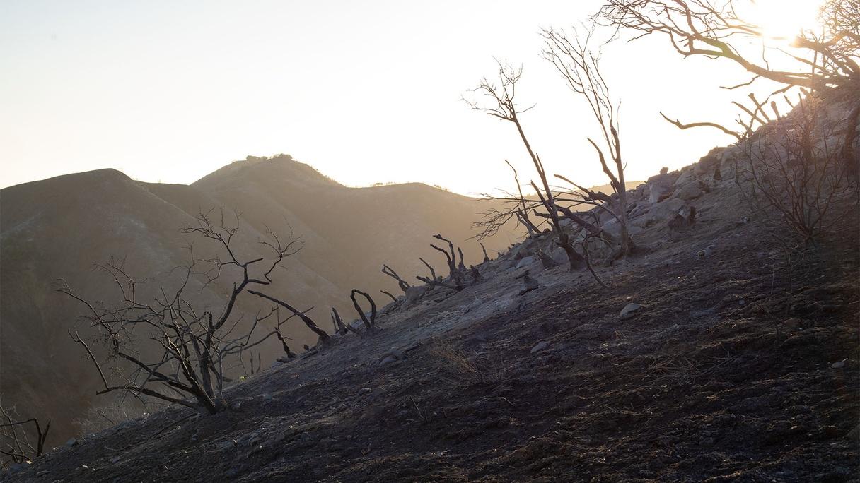 Changing Planet | PBS