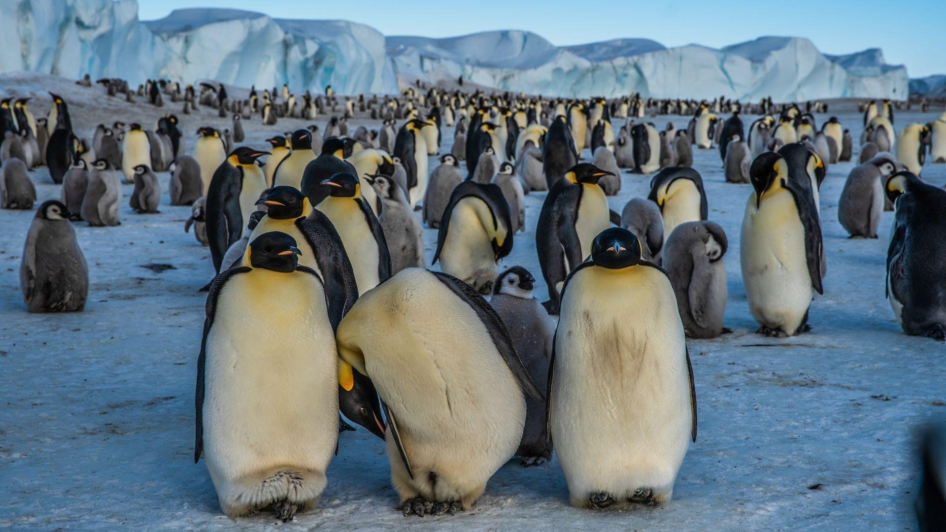 Dynamic Planet | PBS