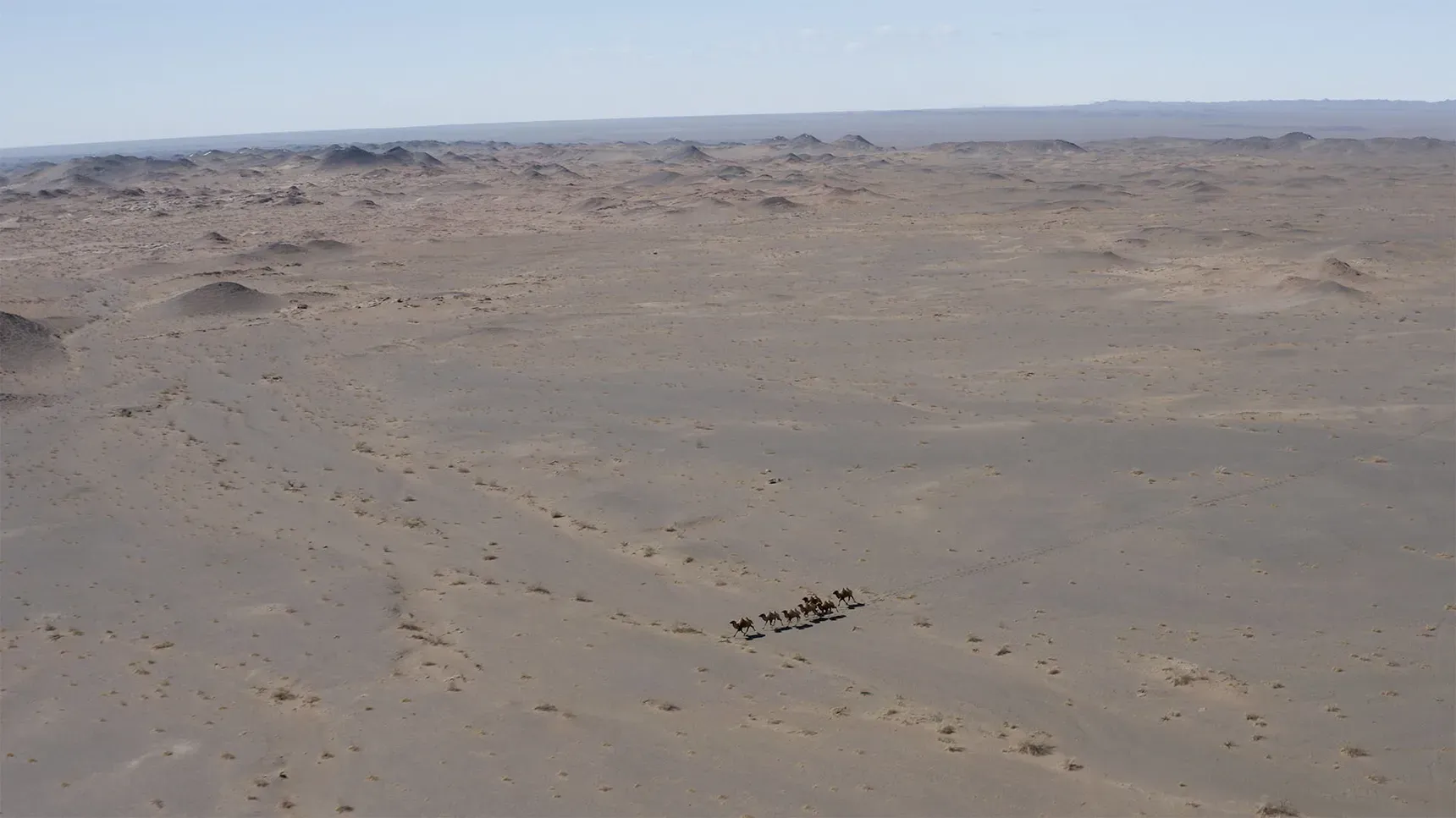 Evolution Earth | PBS