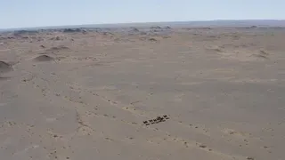 Evolution Earth | PBS