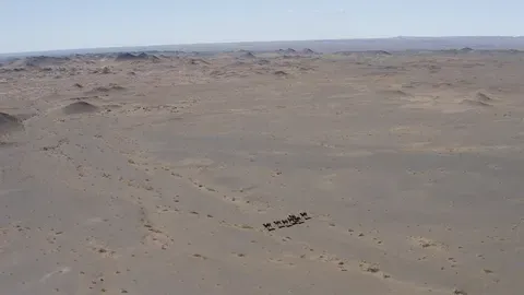 Evolution Earth | PBS