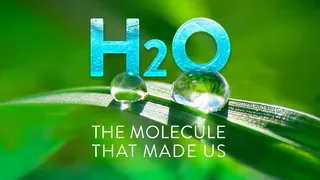 The Molecule That Made Us | PBS
