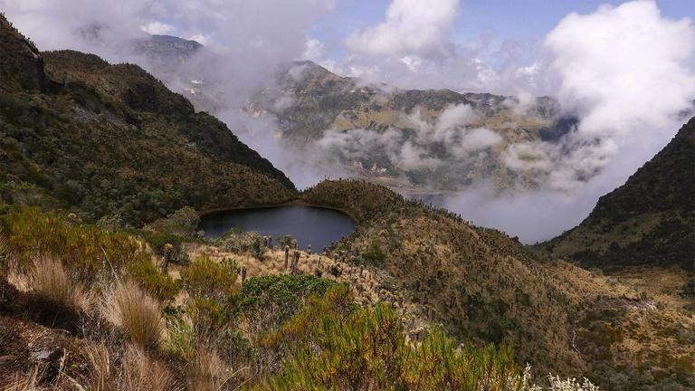 Colombia - Wild and Free | PBS