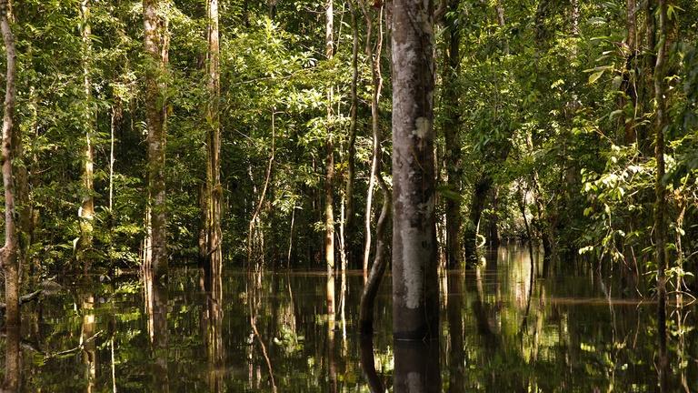 Colombia - Wild and Free | PBS