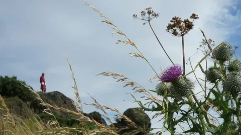 The Age of Nature | PBS