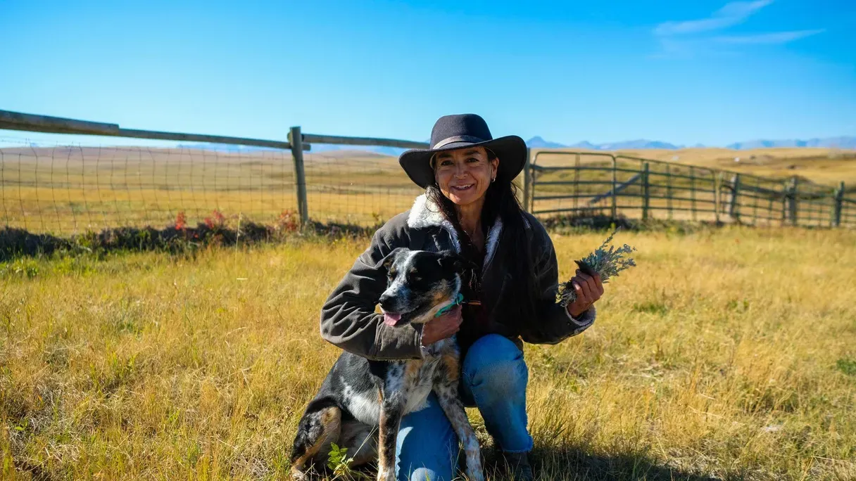 Dynamic Planet | PBS