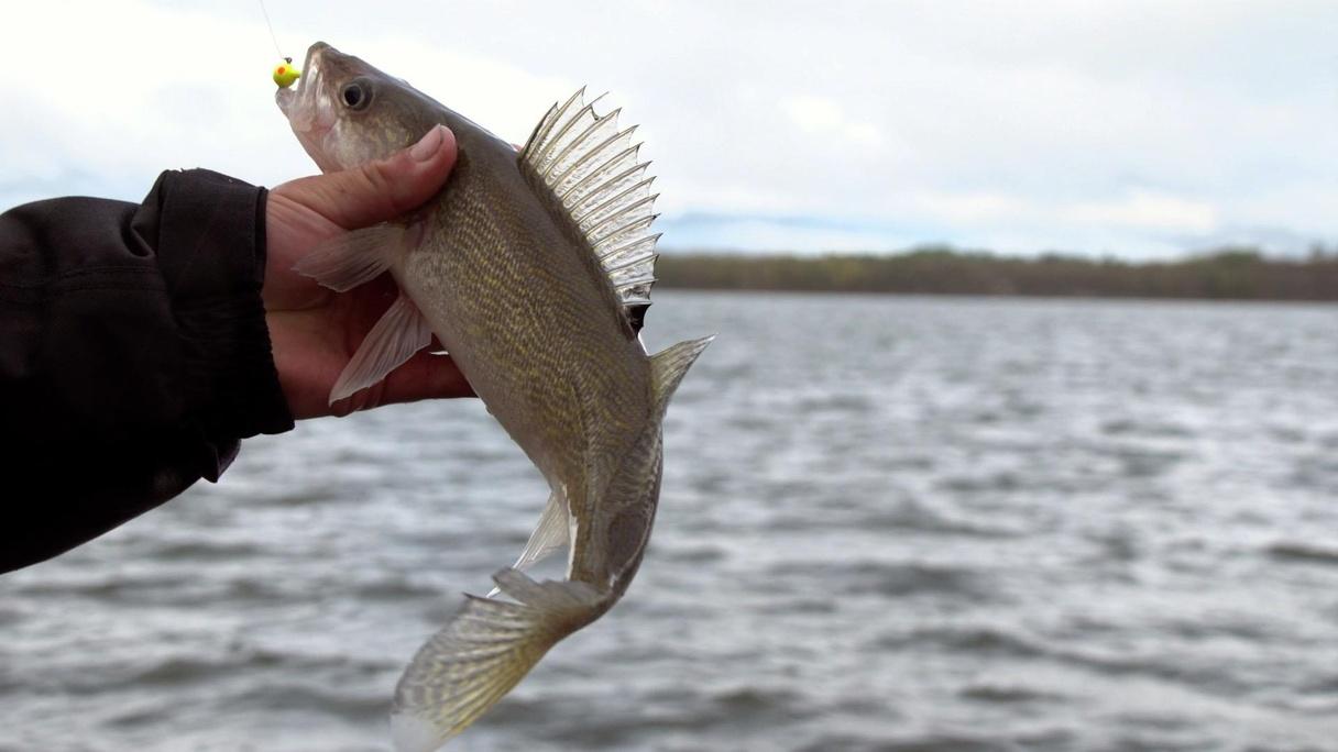 The Northwest Angle - Minnesota's Best Kept Secret | PBS