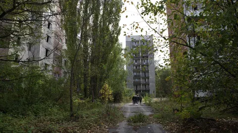 Uranium Twisting the Dragons Tail | PBS