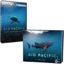 Big Pacific | PBS