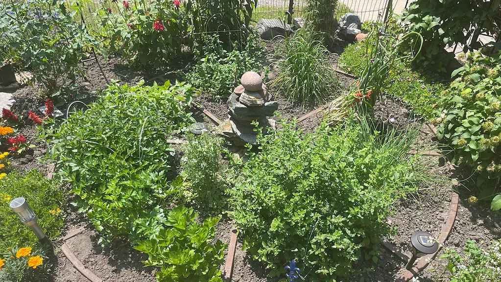 Prairie Yard & Garden | PBS