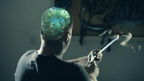 The Amazing Human Body | PBS