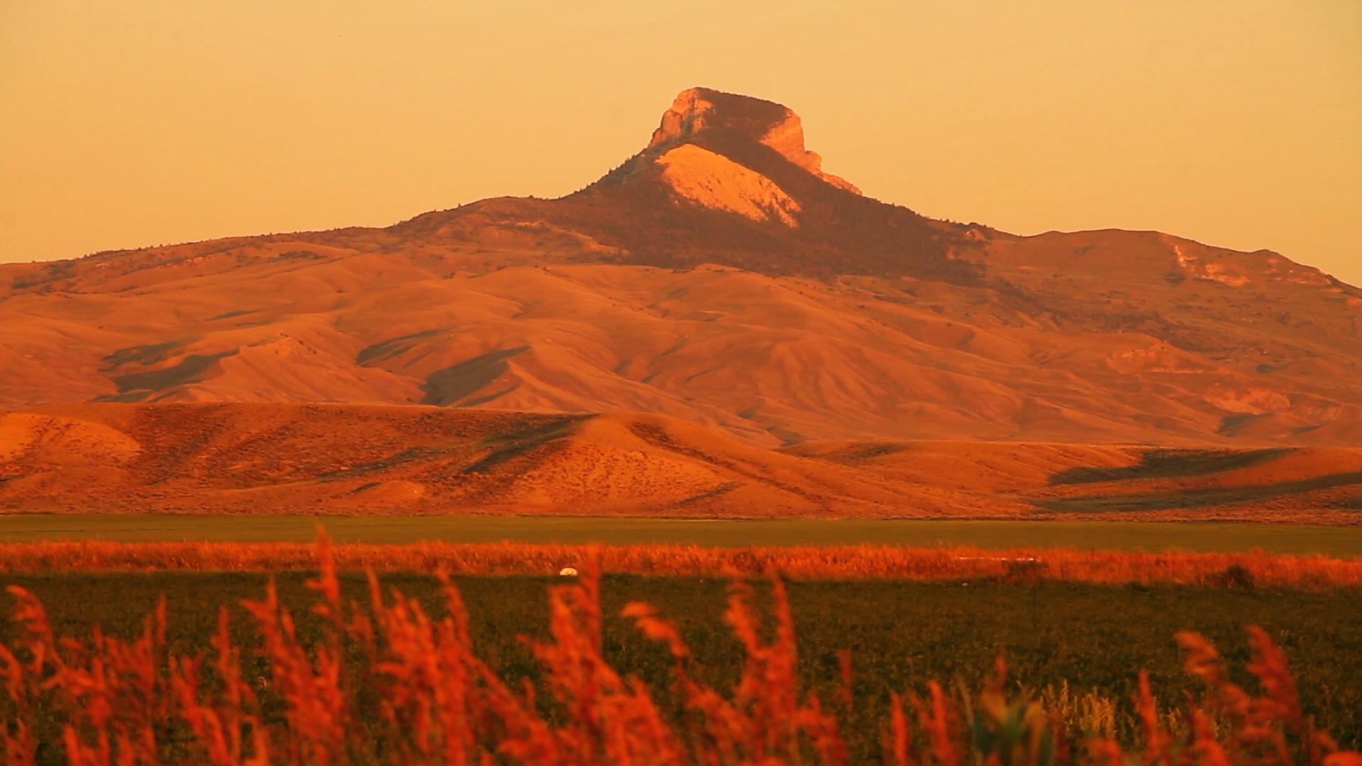 Norman Mineta and His Legacy: An American Story | PBS