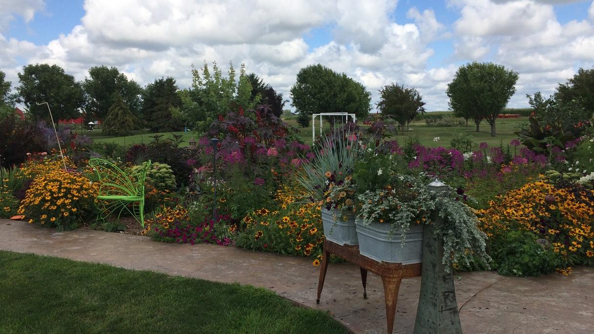 Prairie Yard & Garden | PBS