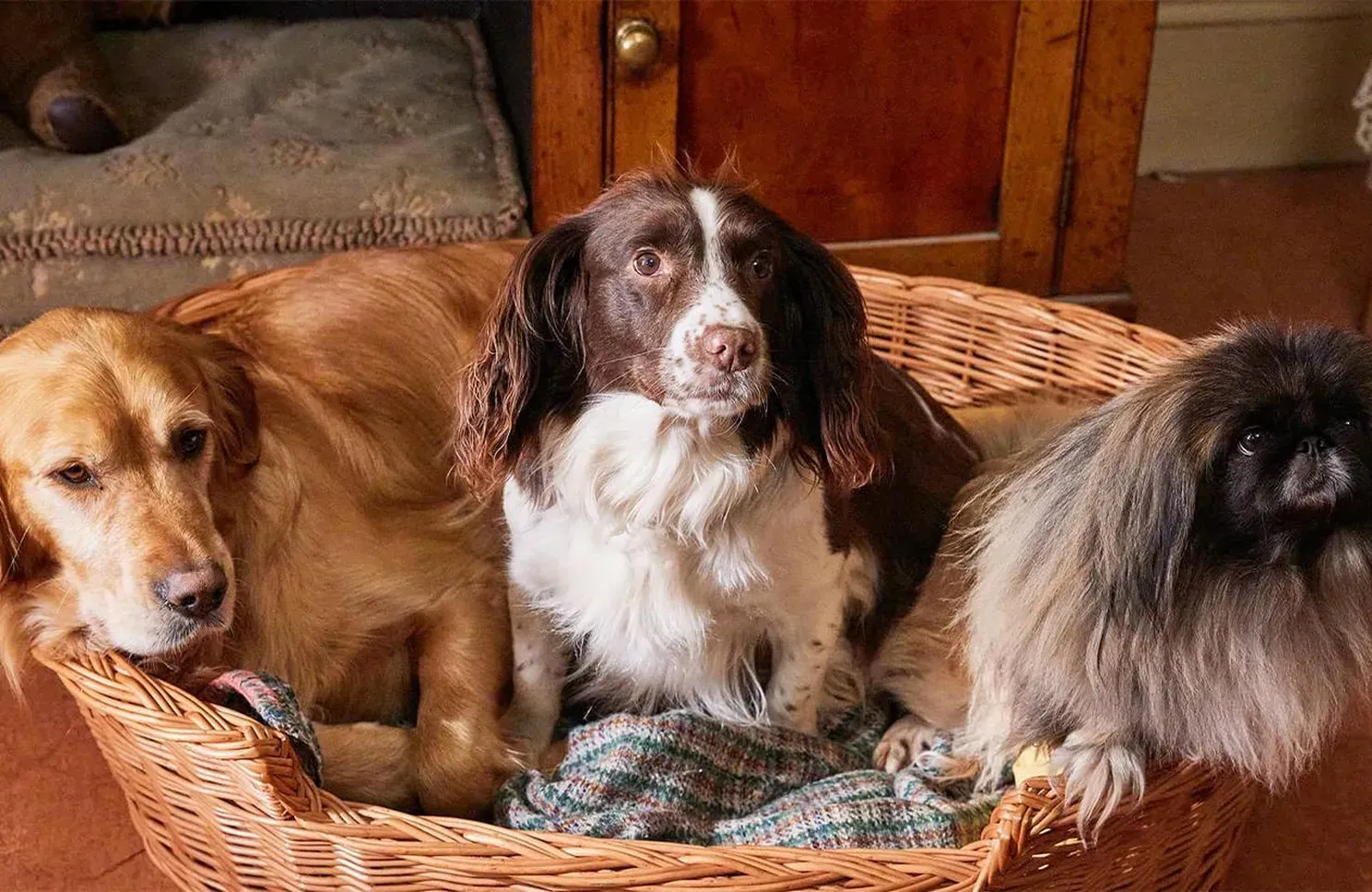 All Creatures Great and Small | Season 5 | Episode 2: Holding the Baby ...