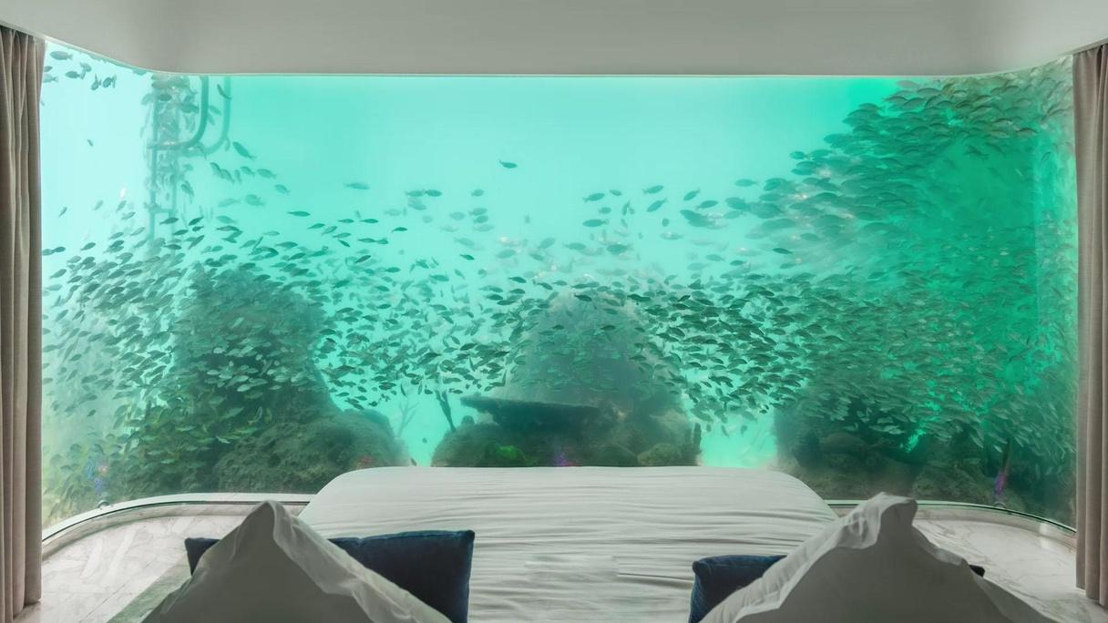 Impossible Builds | PBS