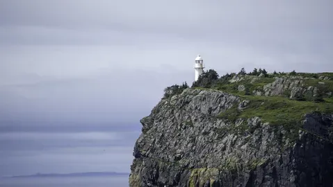 Alice's Adventures on Earth | PBS