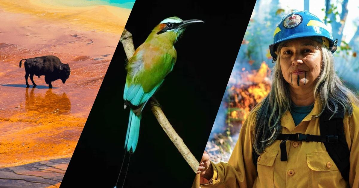 Best Science & Nature Documentaries | PBS