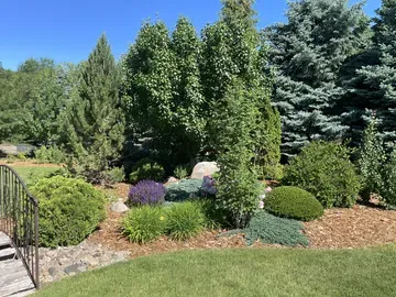 Prairie Yard & Garden | PBS