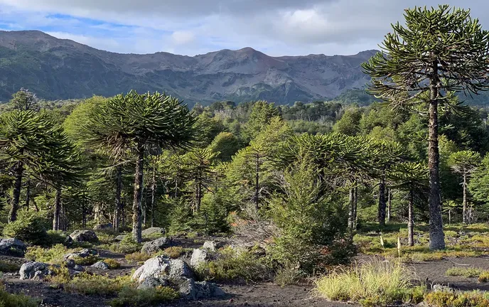 Water For Life | PBS