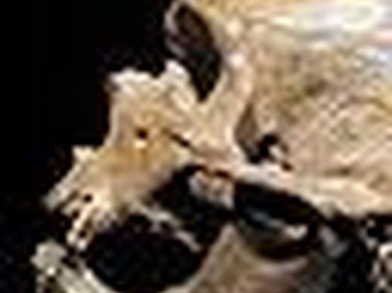 NOVA | A Neanderthal Burial | Season 40 | Episode 2 | PBS