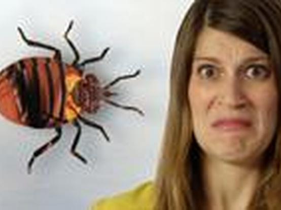 Gross Science | Can Poop Cure an Infection? | Season 1 | Episode 4 | PBS