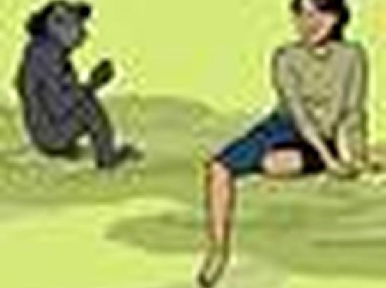 NOVA scienceNOW | Where Did We Come From? | Season 5 | Episode 5 | PBS