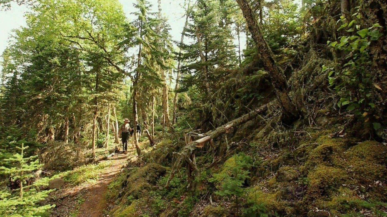 In the Americas With David Yetman Lake Superior: Circling the Sweet ...