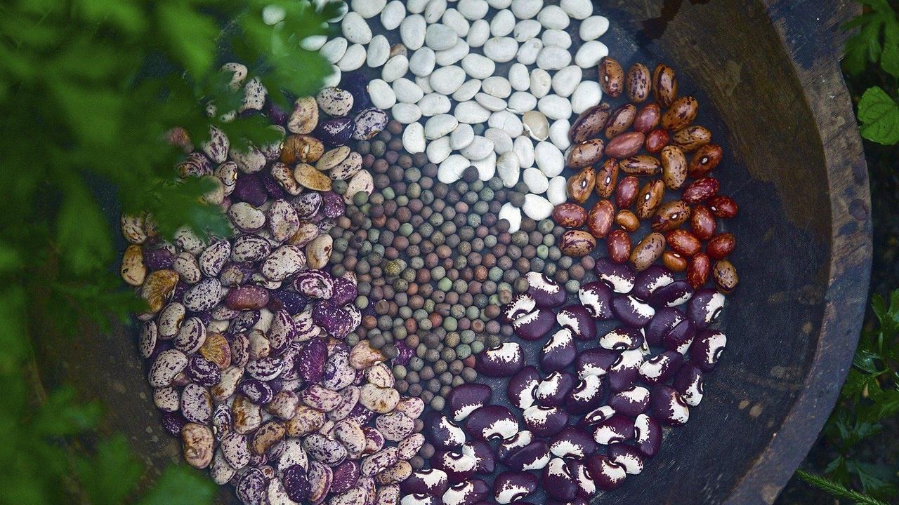 Deeply Rooted: John Coykendall's Journey to Save Our Seeds and Stories| On PBS Wisconsin