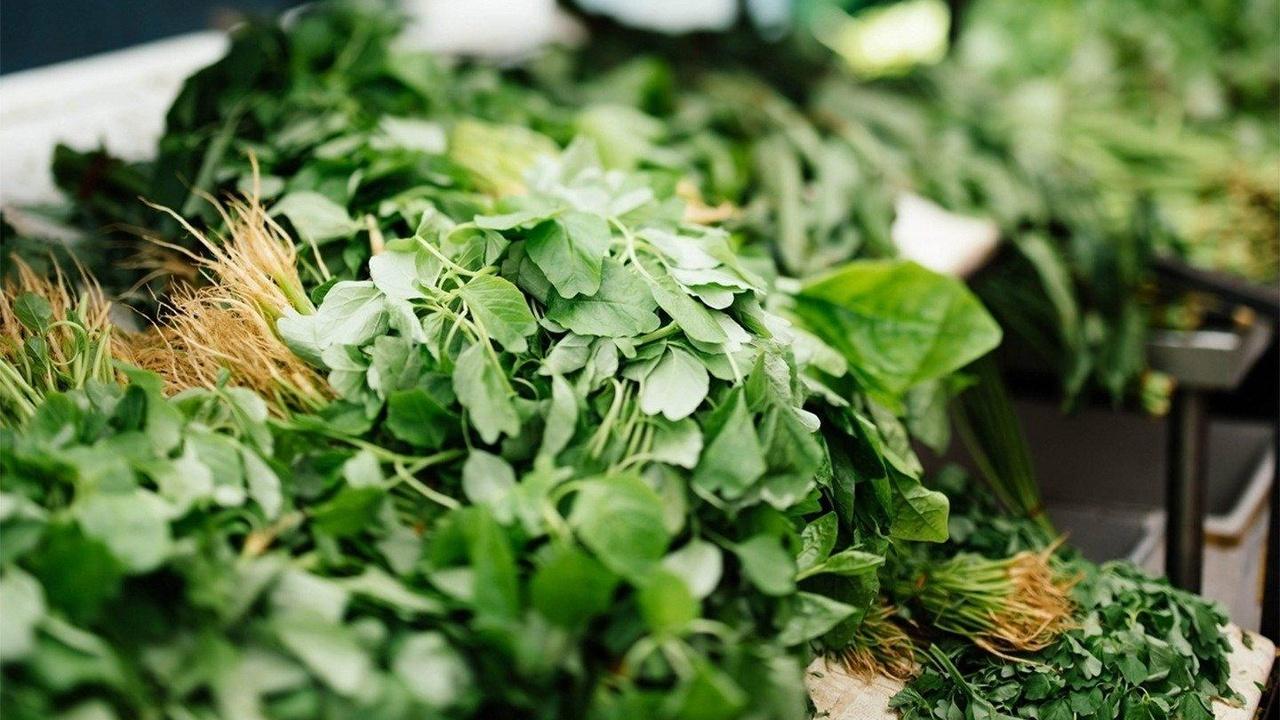 Bringing It Home With Laura McIntosh Farm Fresh Herbs and Tomatoes | On ...