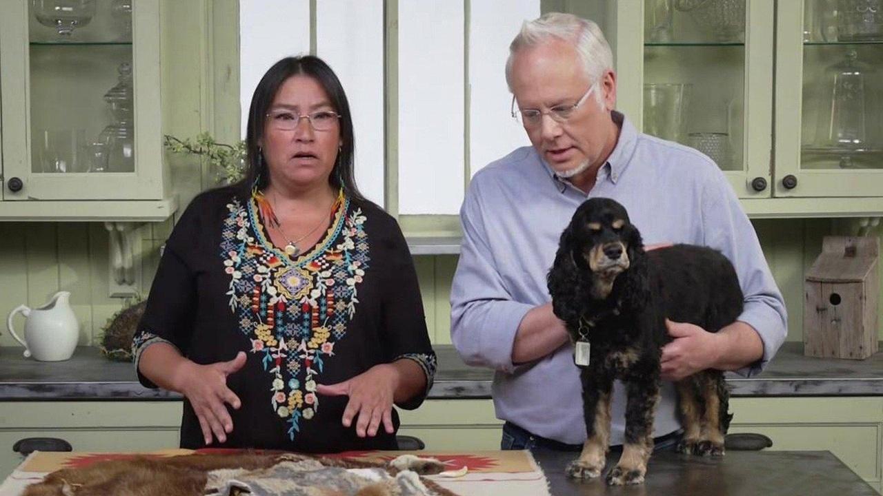 J Schwanke's Life in Bloom Pets and Flowers | On PBS Wisconsin