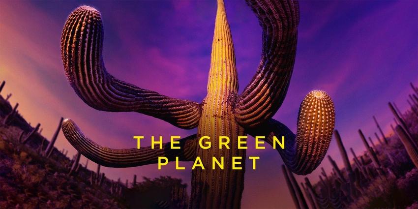 The Green Planet - PBS KVIE