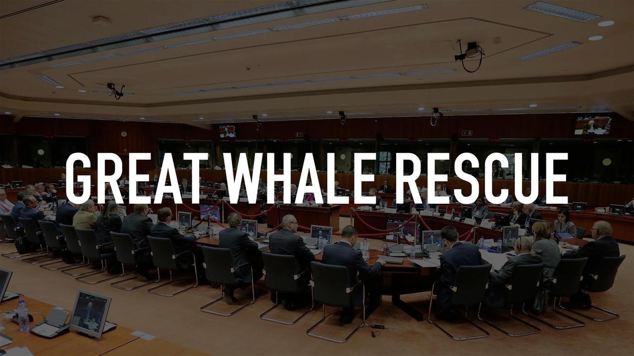 The Great Whale Rescue | Iowa PBS