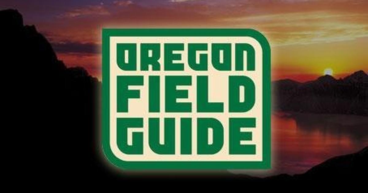 Oregon Field Guide Collection | OPB Science From the Northwest | PBS
