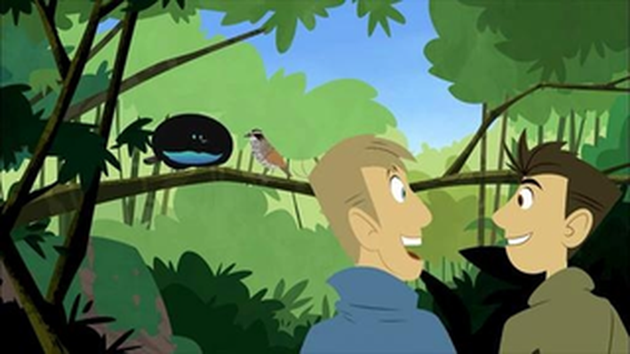 Dances with Birds - Clips | Wild Kratts | Science | Media Gallery | PBS ...