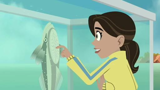 Stuck on Sharks - Clips | Wild Kratts | PBS LearningMedia