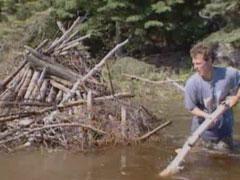 The Great Canadians | PBS LearningMedia