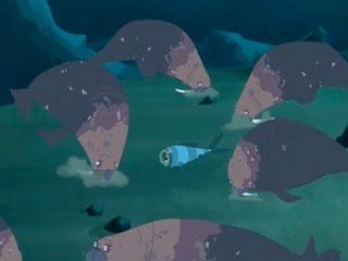 Walrus Stampede! | PBS LearningMedia