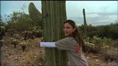 DragonflyTV | Cactus | PBS LearningMedia