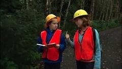 DragonflyTV | Temperate Rain Forest | PBS LearningMedia