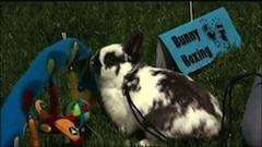 DragonflyTV | Rabbits | PBS LearningMedia