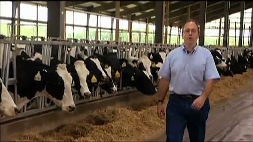 Scientist Profile: Cow Vet | PBS LearningMedia