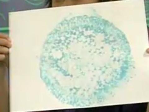 Bubble Prints | PBS LearningMedia