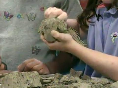 Fake Fossils | PBS LearningMedia