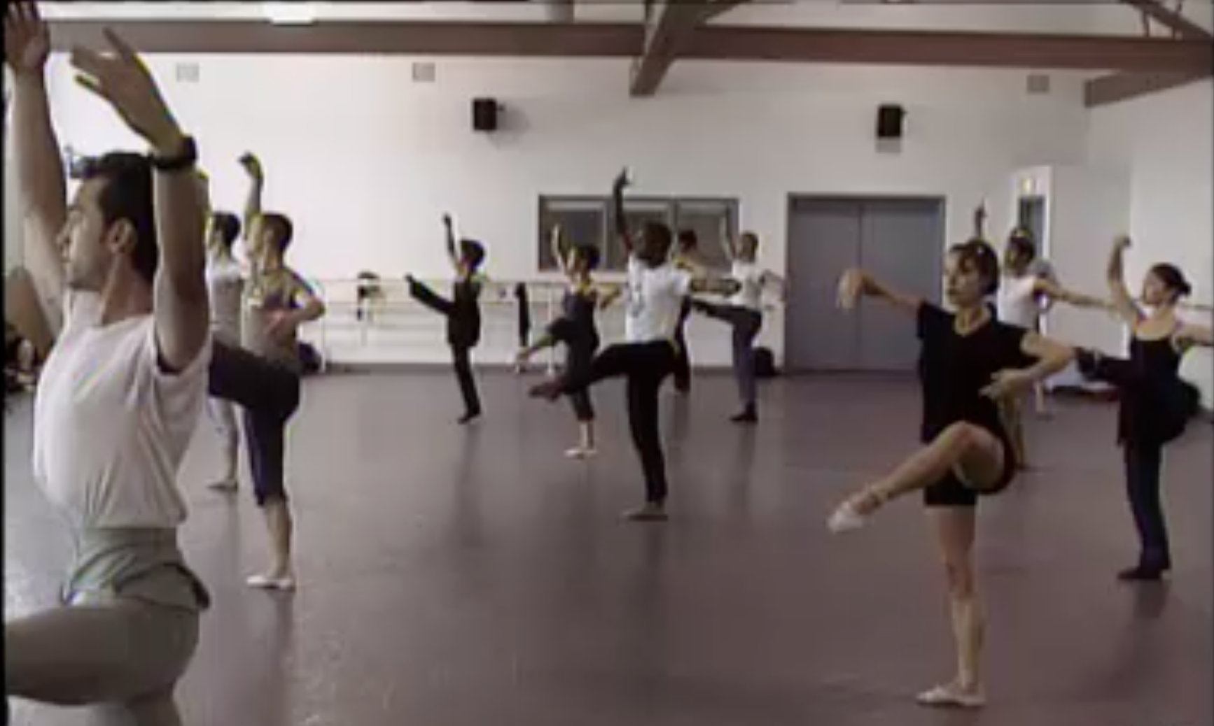 DanceSense: Ballet | Dance Arts Toolkit | PBS LearningMedia