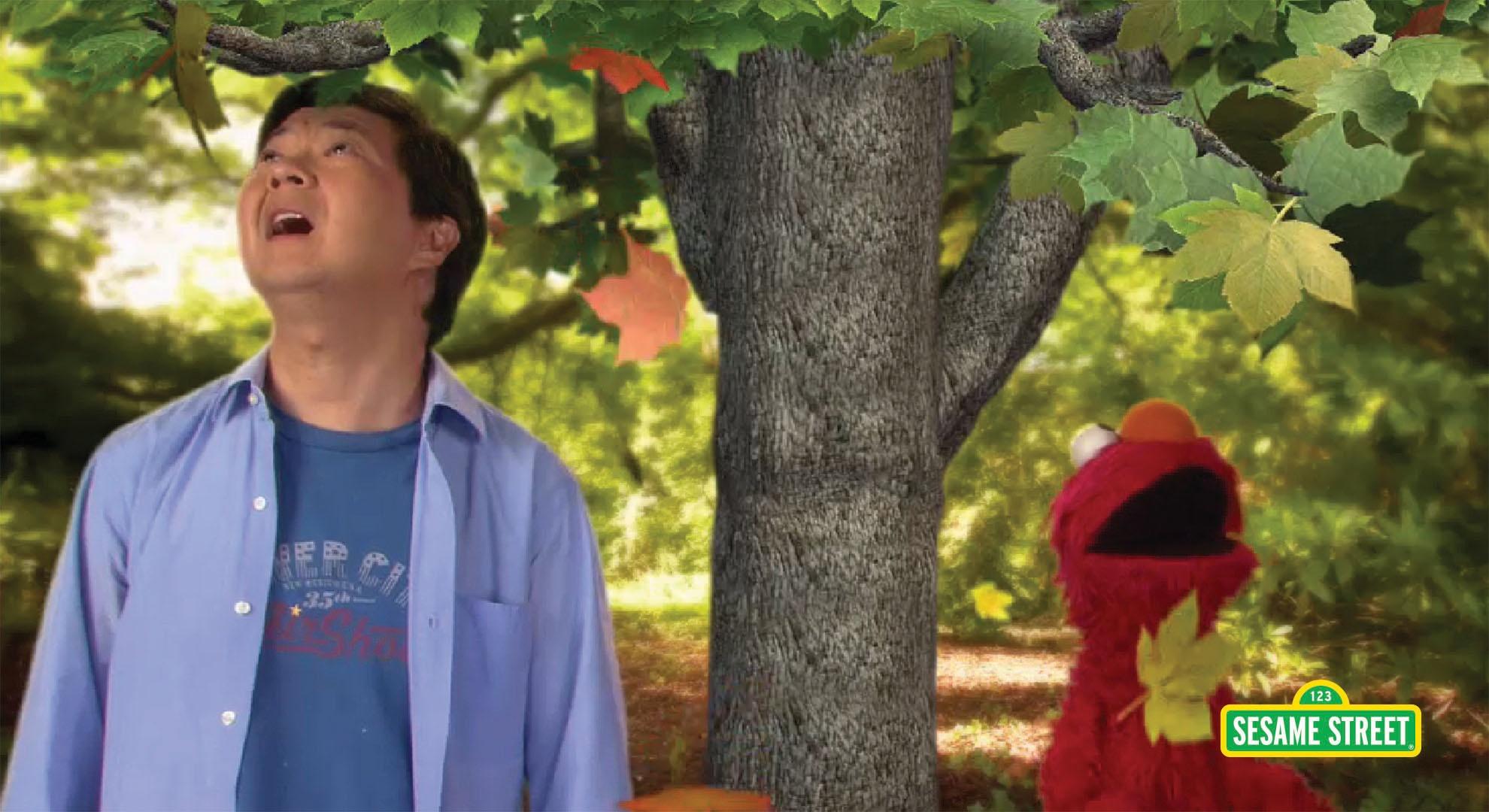 Trees | Sesame Street | PBS LearningMedia