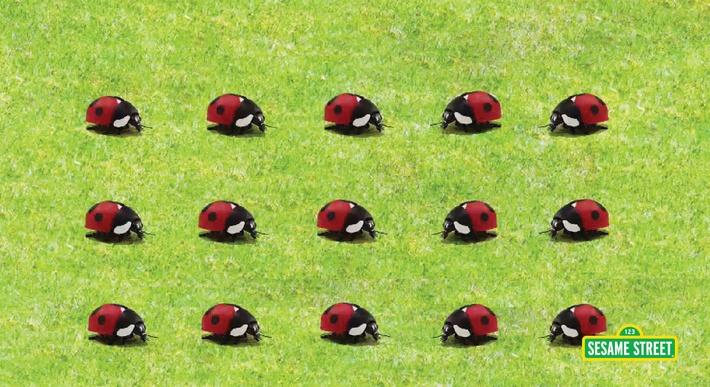 Word on the Street: Insect | Sesame Street | Preschool | Video | PBS ...