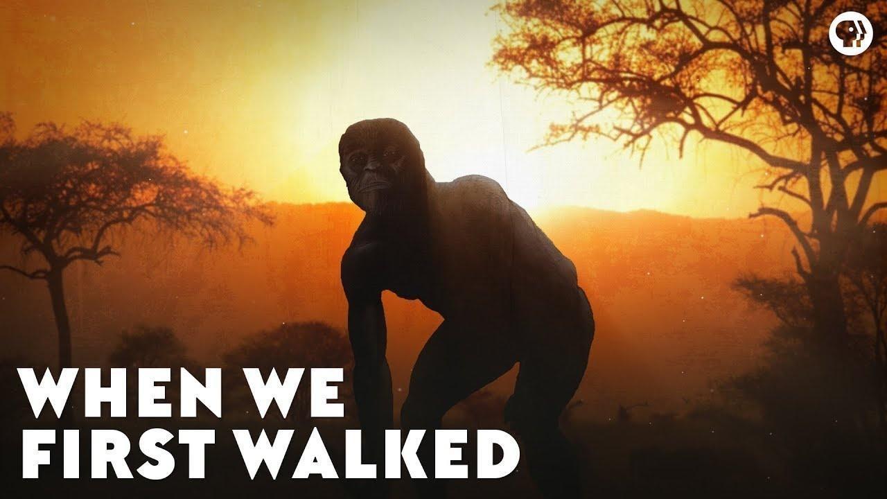 When We First Walked | Eons | PBS LearningMedia