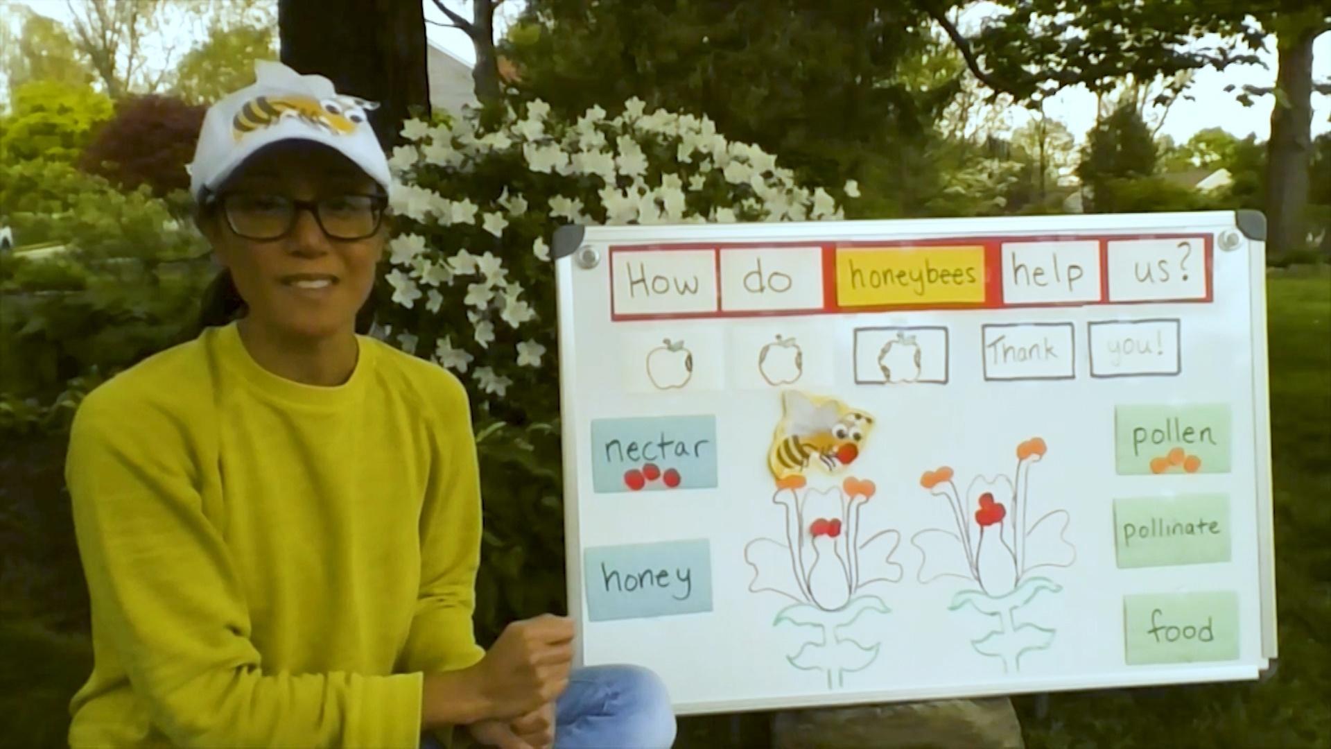 Bees and Pollination | Let's Learn | PBS LearningMedia