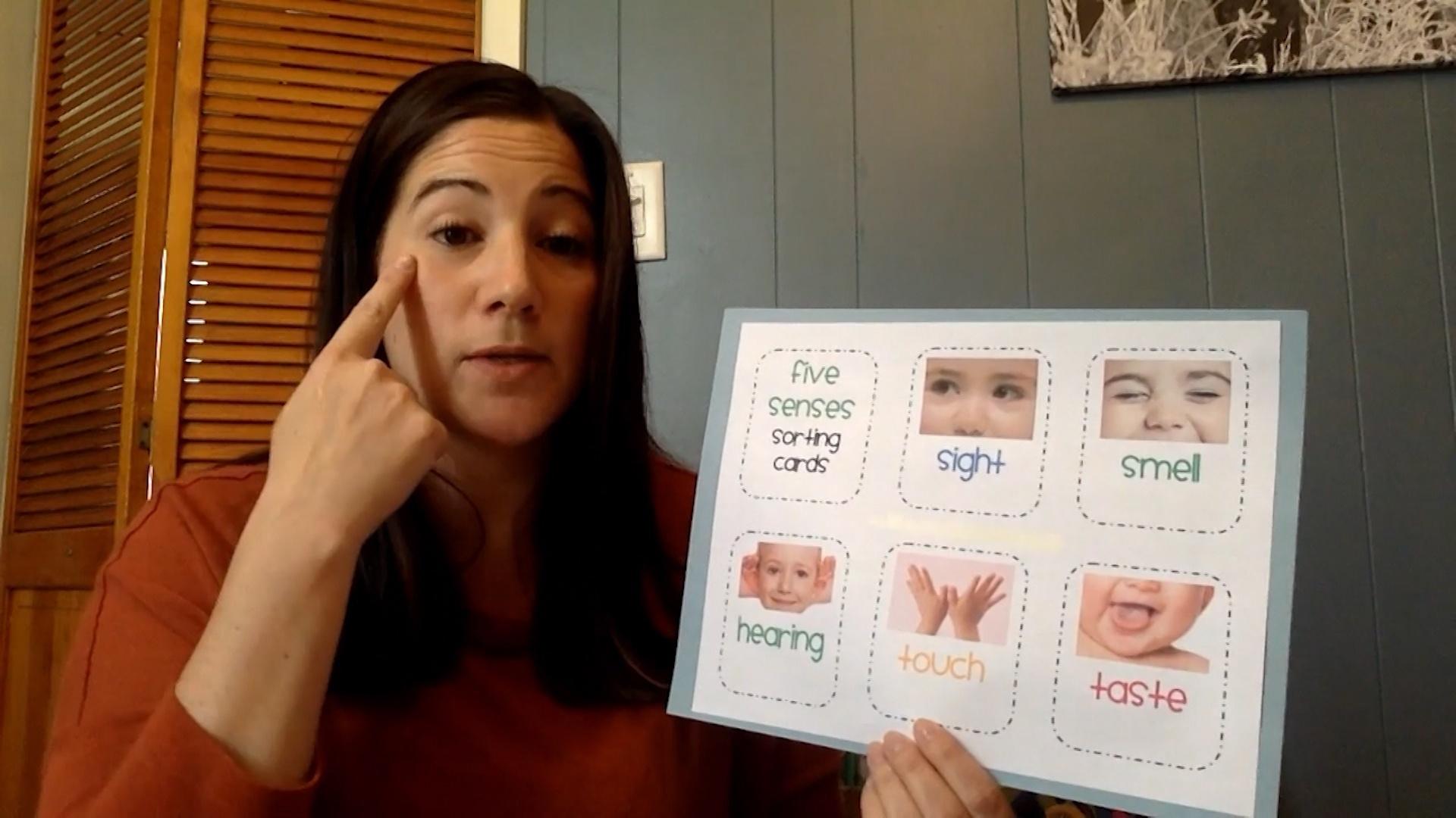 The 5 Senses | Let's Learn | PBS LearningMedia